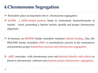 Cromatin Remodeling | PPTX