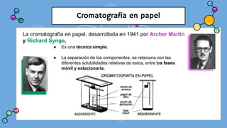 Cromatografia .pptx