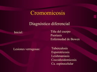 Cromomicosis | PPT