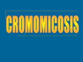 Cromomicosis | PPT