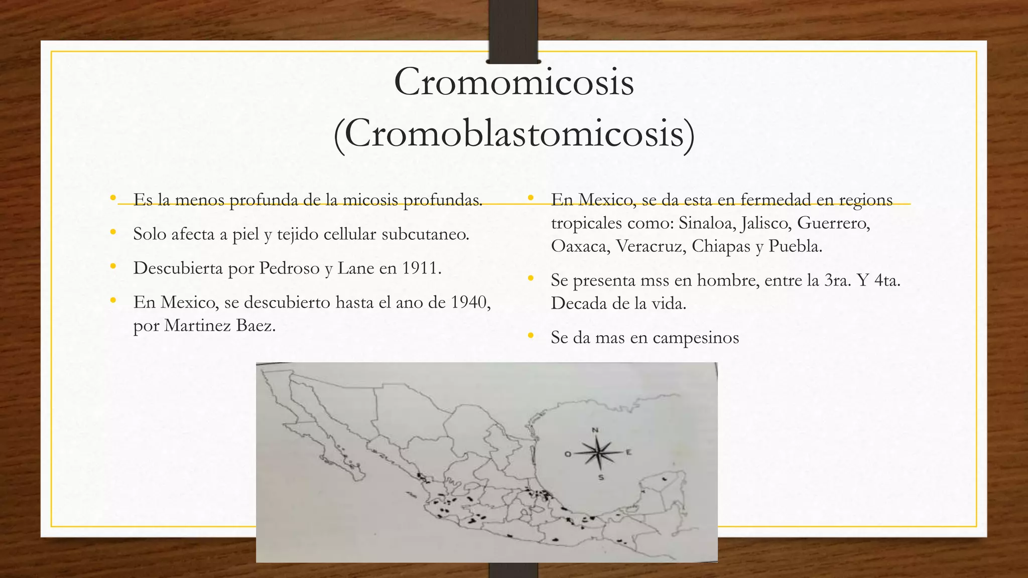 Cromomicosis | PPT