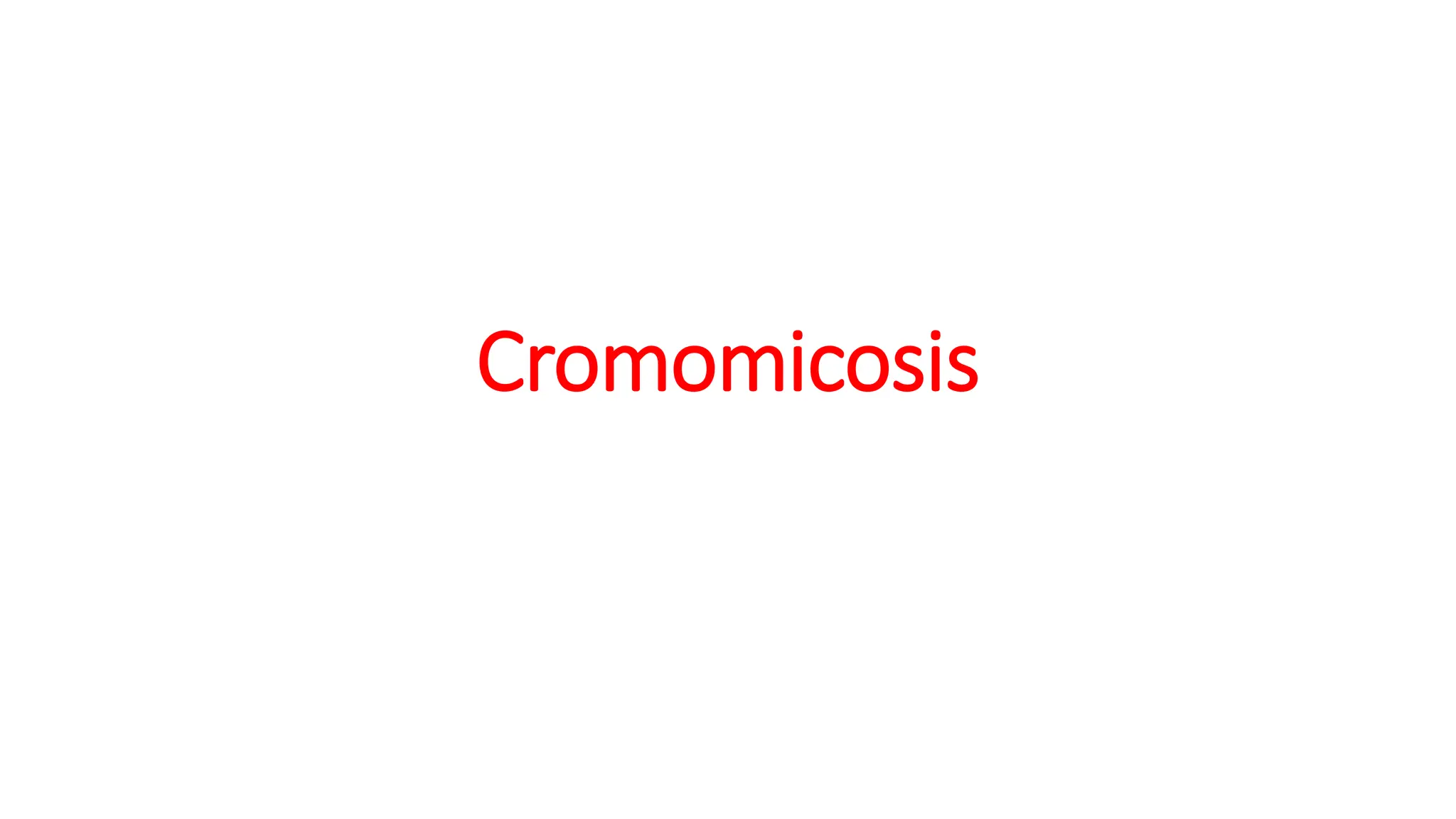 Cromomicosis.pptx