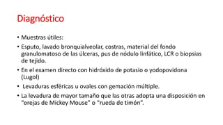 Cromomicosis.pptx
