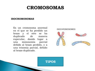 Cromosomas | PPTX