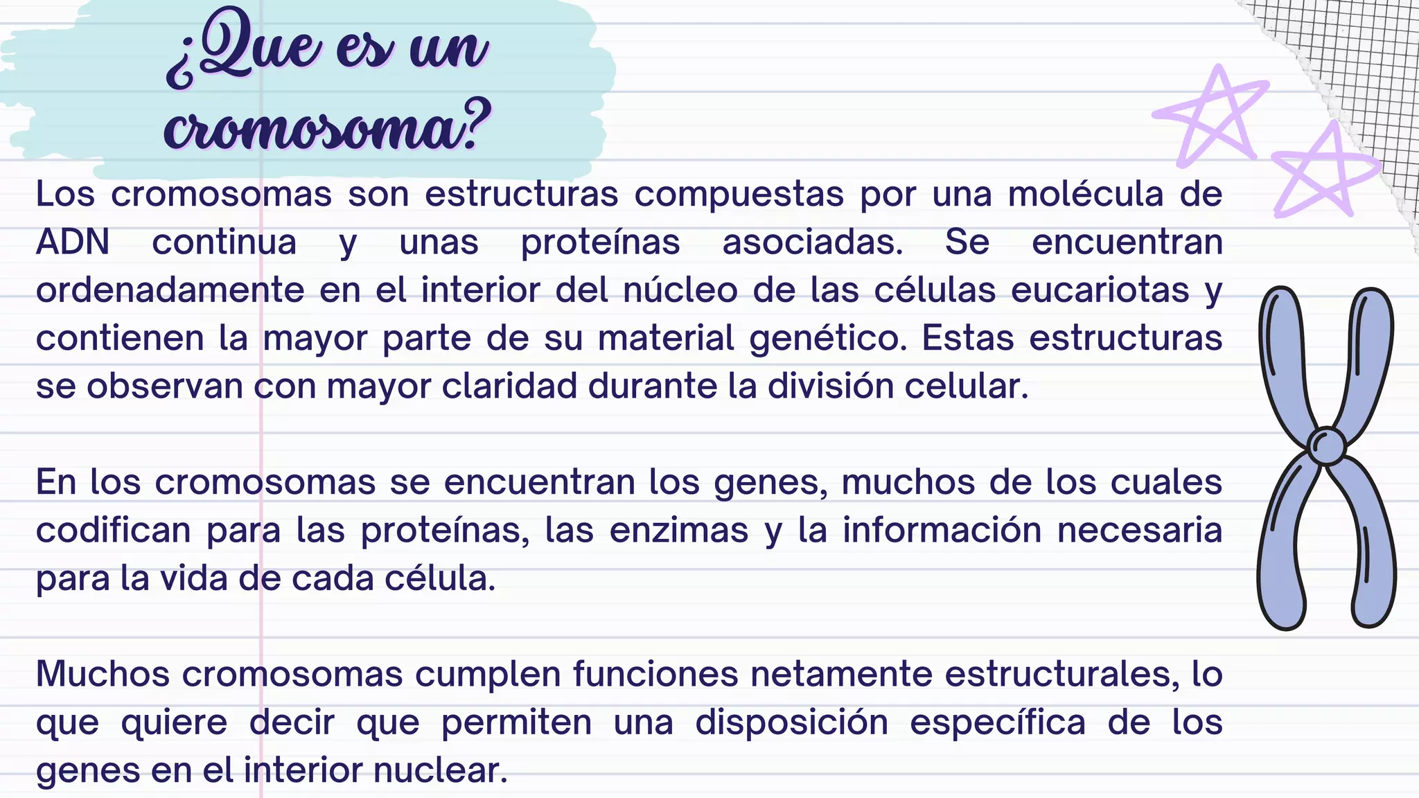 CROMOSOMAS .pdf
