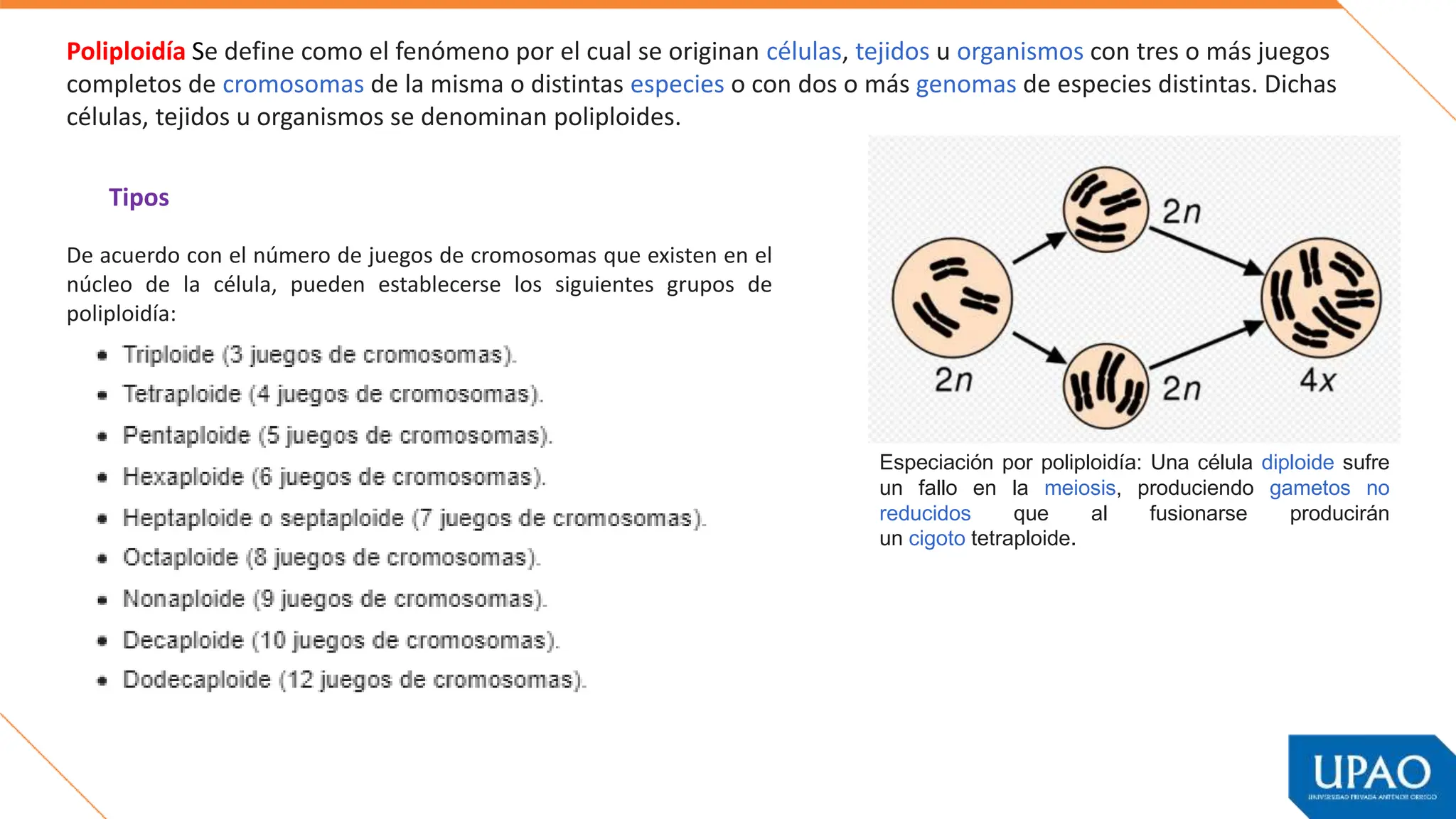 CROMOSOMAS BIOLOGÍA secundaria clases importantes | PPTX