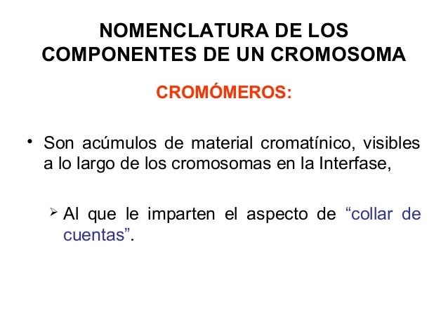 Cromosomas humanos