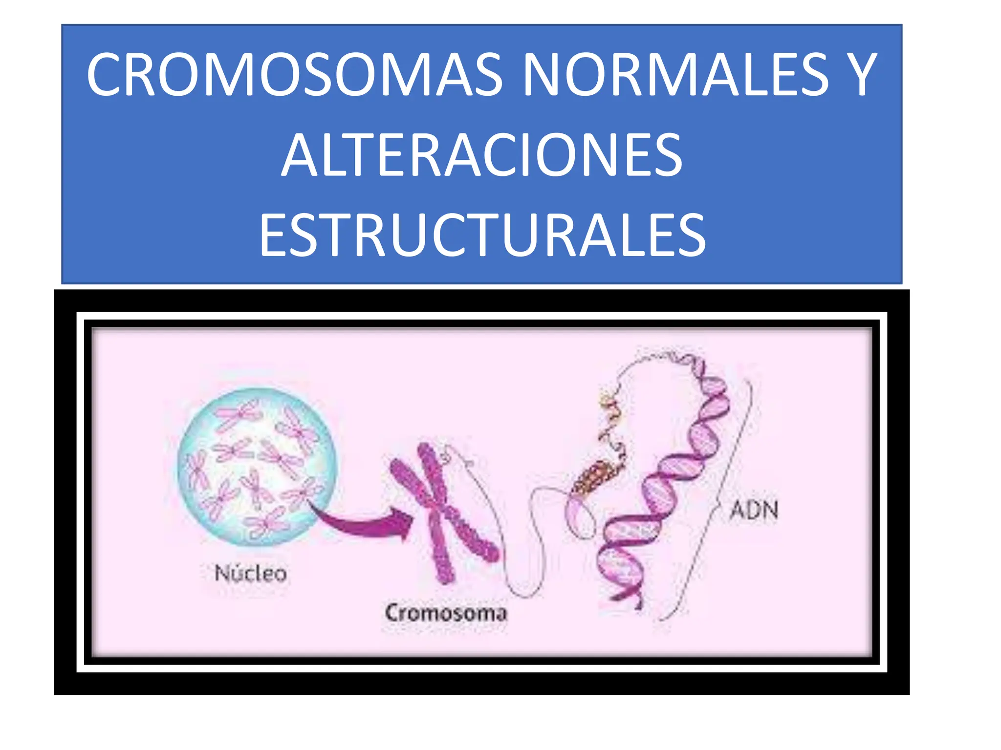CROMOSOMAS NORMALES Y ALTERACIONES ESTRUCTURALES.pptx