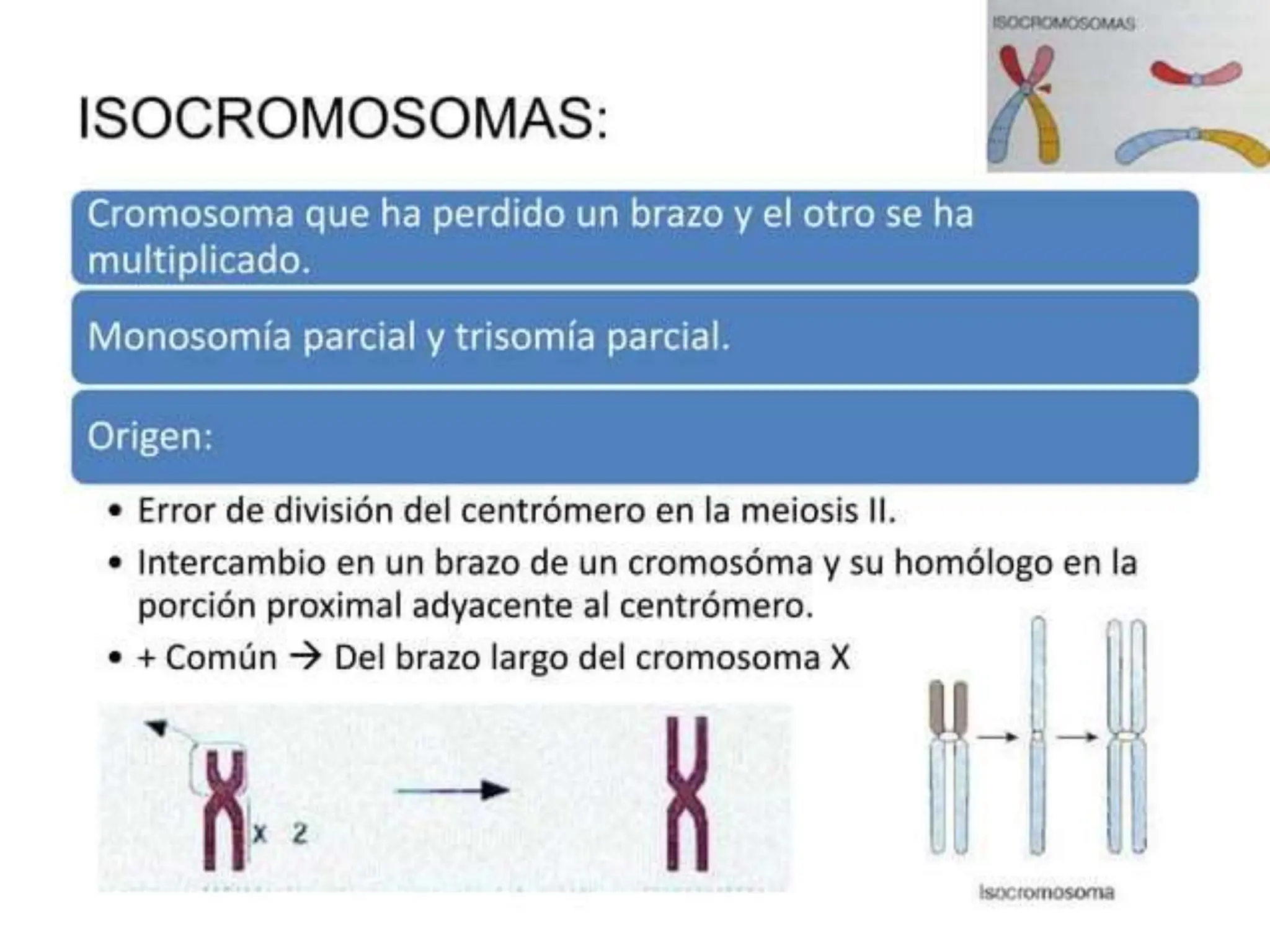 CROMOSOMAS NORMALES Y ALTERACIONES ESTRUCTURALES.pptx