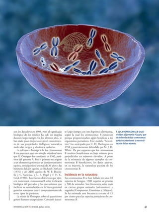 Cromosomas Parásitos | PDF