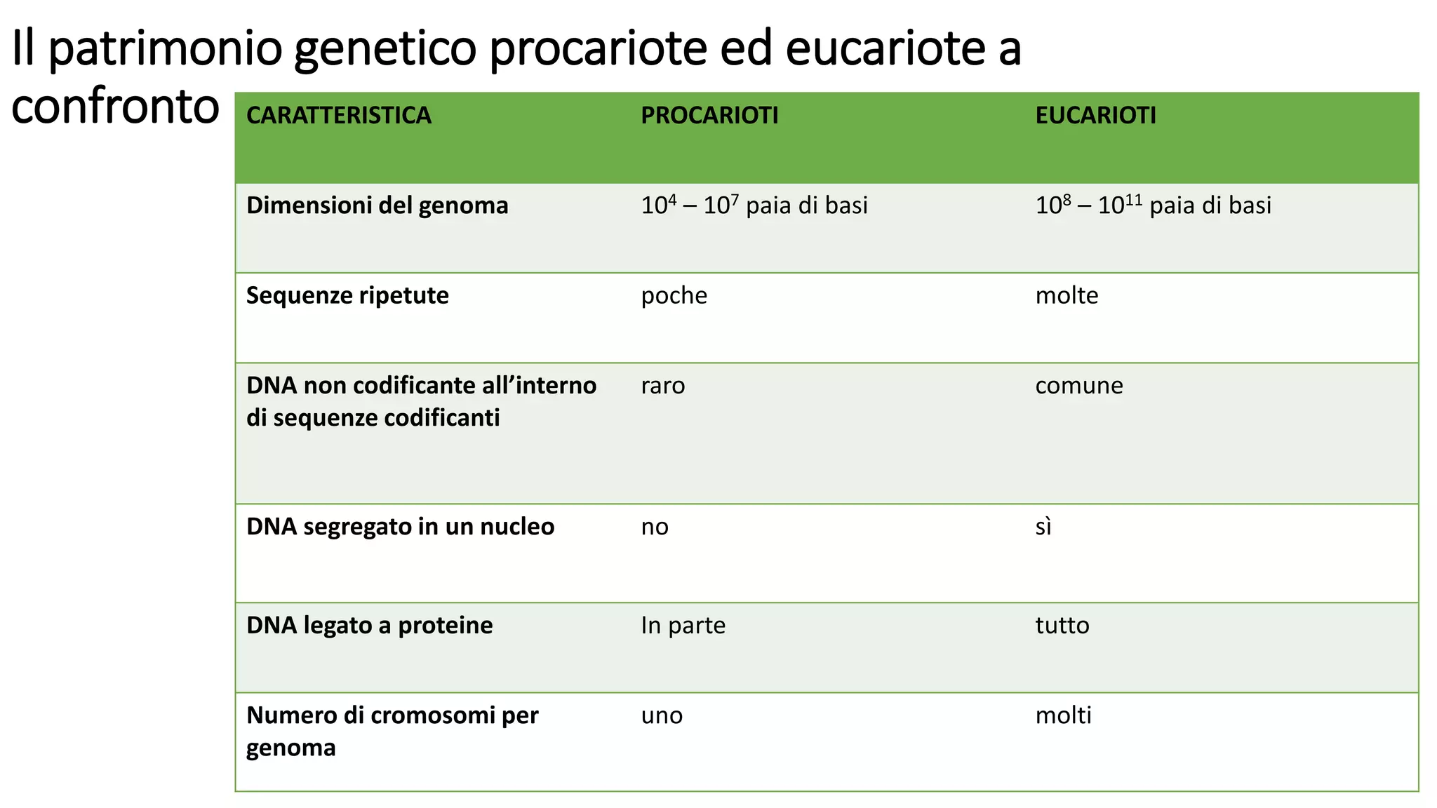 Cromosomi e patrimonio genetico | PPTX