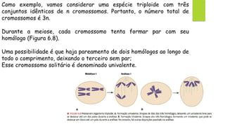cromossomica snutad and simon cap 6.pptx