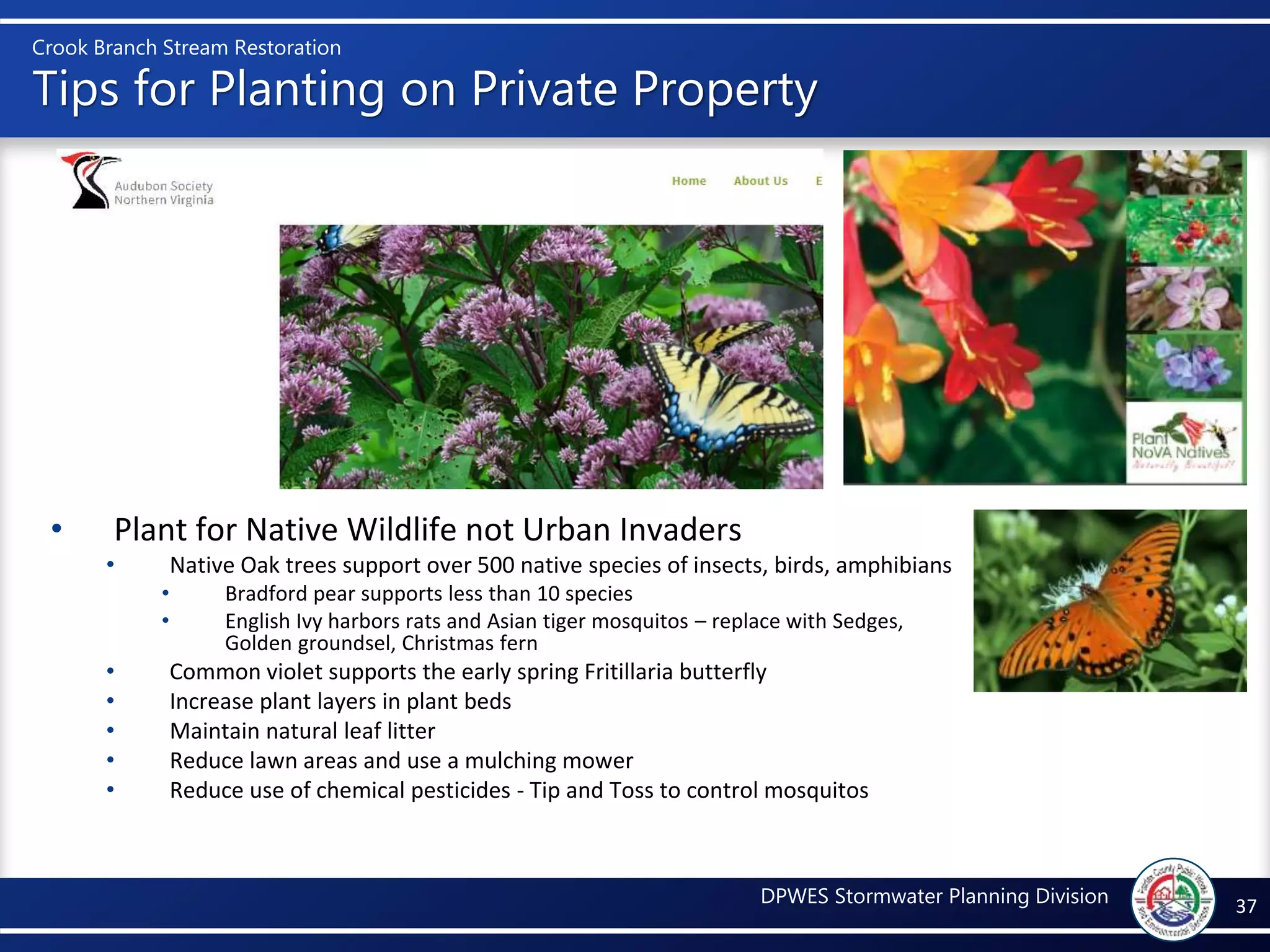 Crook Branch at Mantua Elementary School Stream Restoration | PPTX