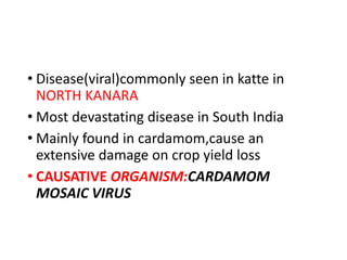 cardamom mosaic disease or katte disease | PPTX