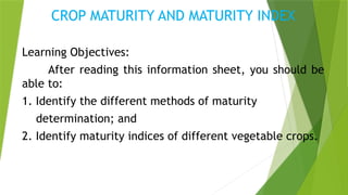 CROP-MATURITY-AND-MATURITY-INDEX.pptx .. | PPTX