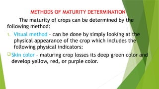 CROP-MATURITY-AND-MATURITY-INDEX.pptx .. | PPTX