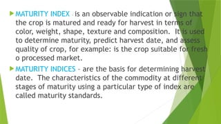 CROP-MATURITY-AND-MATURITY-INDEX.pptx .. | PPTX