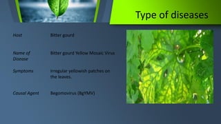 Crop-Prot-2.pptx.Disease Identificationpdf | PPT