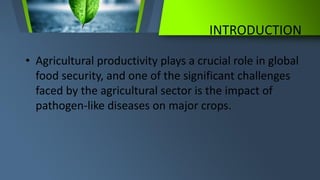 Crop-Prot-2.pptx.Disease Identificationpdf | PPT
