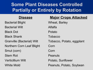 Crop rotations and cover crops for diversity presentation A Lecture By ...