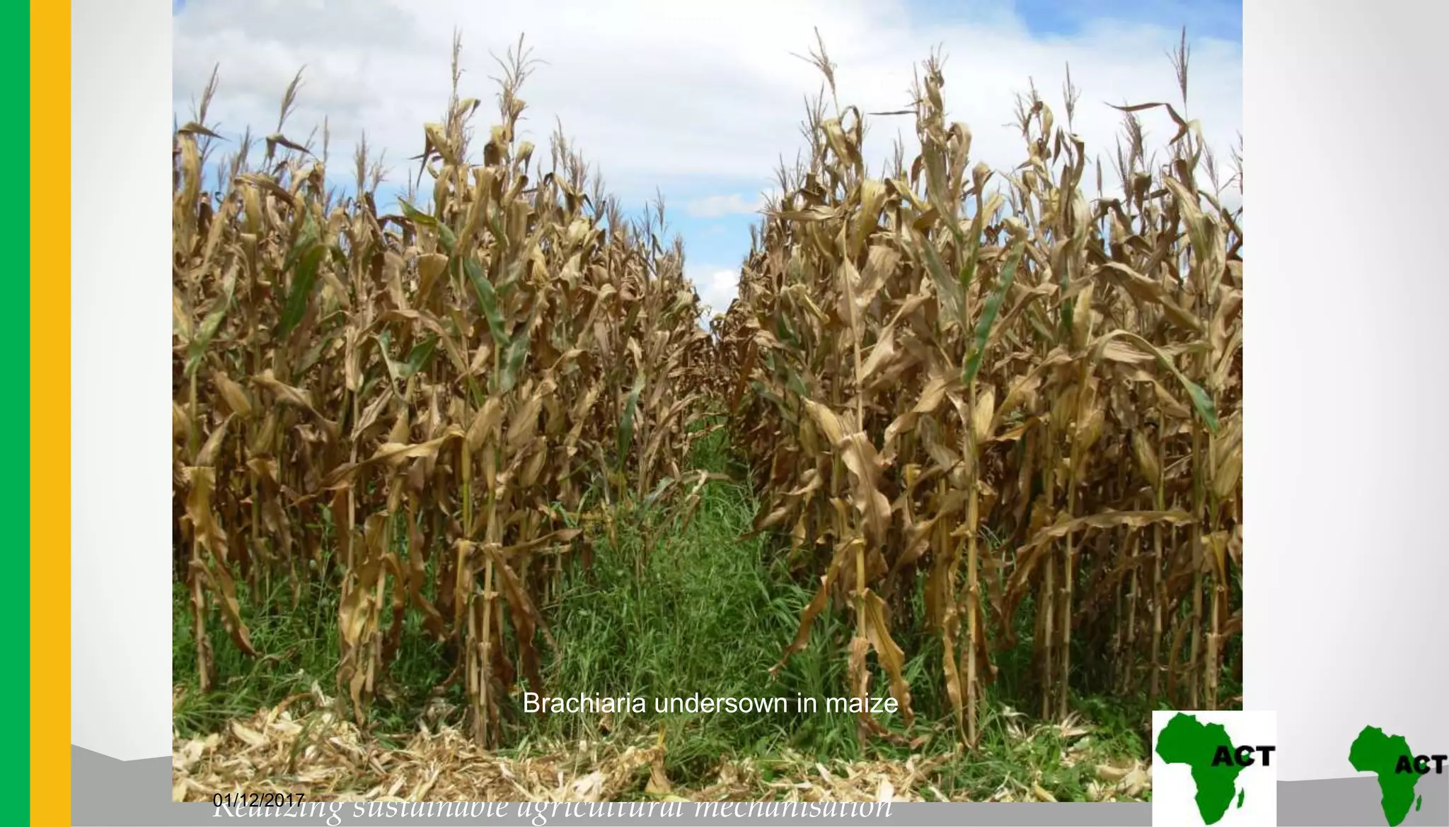 Crop tree-livestock integration in Conservation Agriculture Systems | PPTX