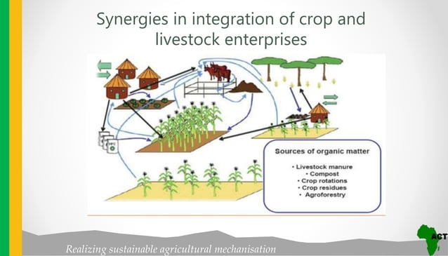 Crop tree-livestock integration in Conservation Agriculture Systems | PPT