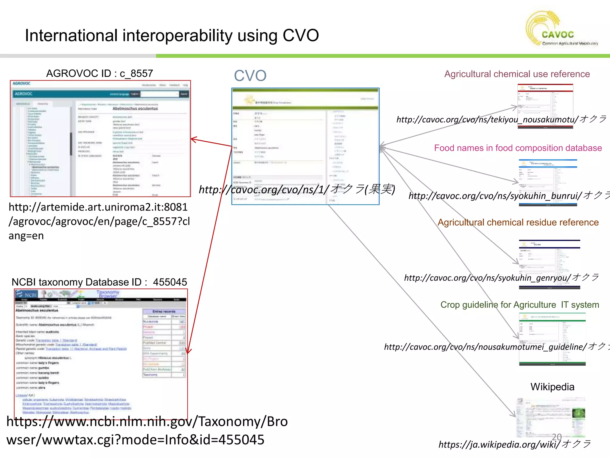 Crop vocabulary (CVO): Core vocabulary of crop names | PPTX