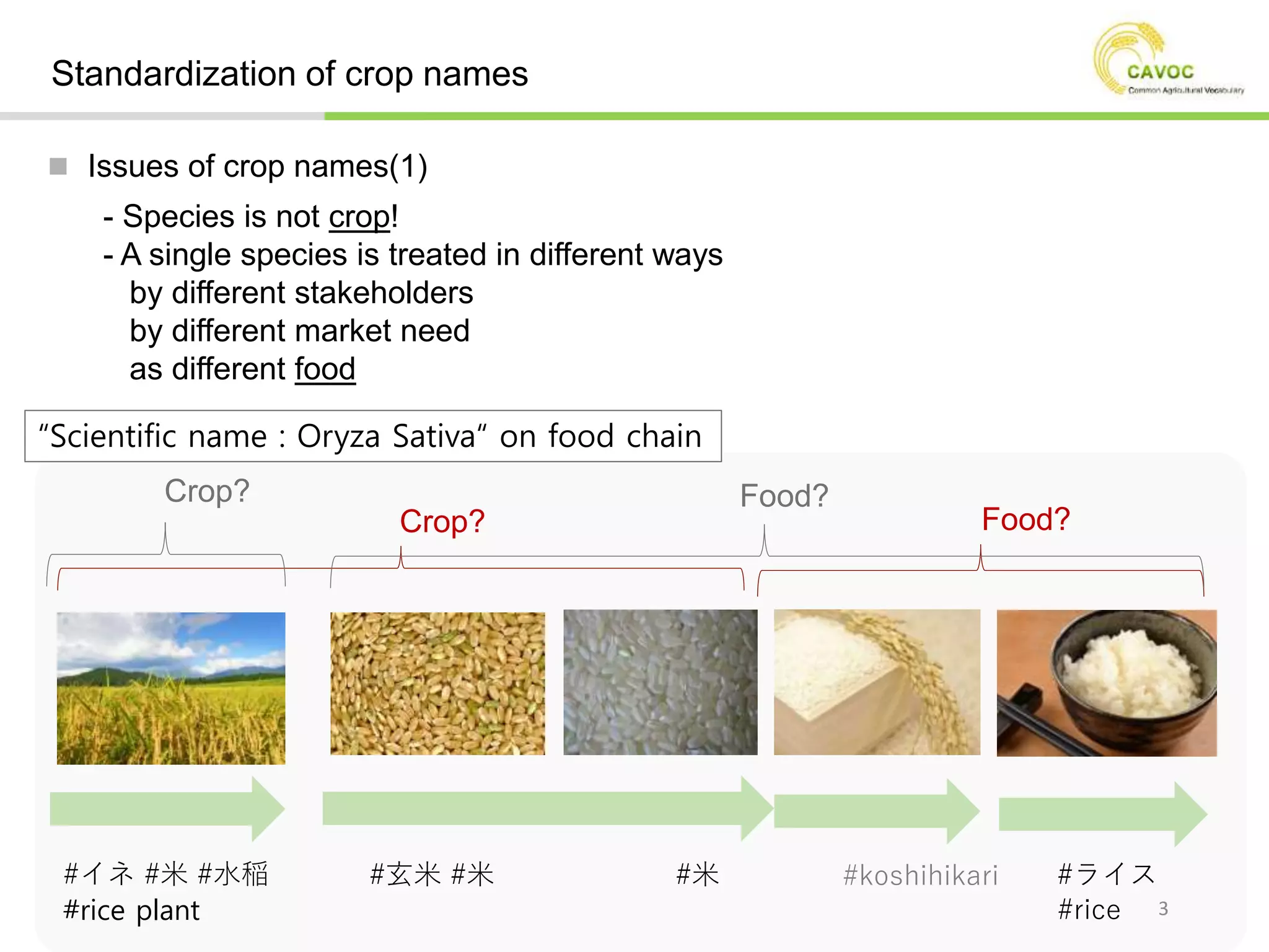 Crop vocabulary (CVO): Core vocabulary of crop names | PPTX