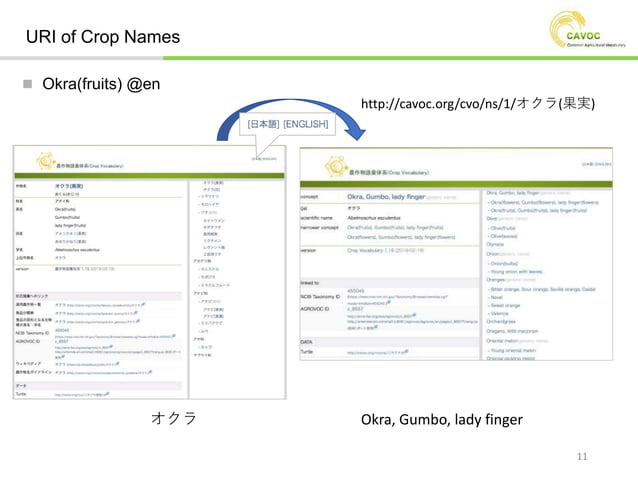 Crop vocabulary (CVO): Core vocabulary of crop names | PPT