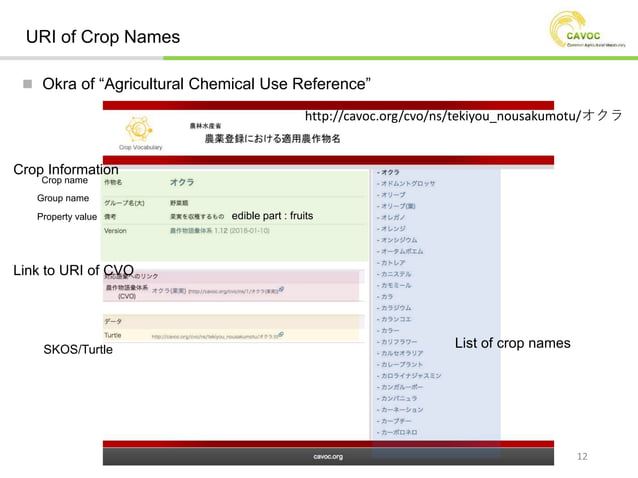 Crop vocabulary (CVO): Core vocabulary of crop names | PPT