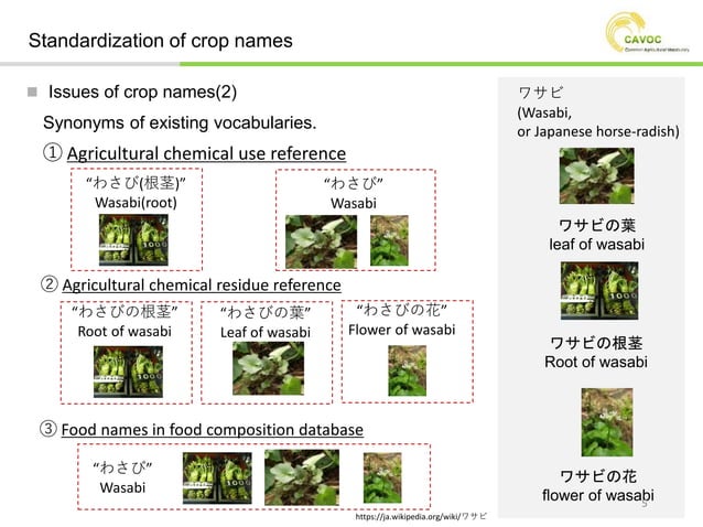 Crop vocabulary (CVO): Core vocabulary of crop names | PPT