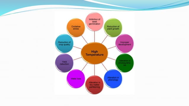 Crop adaptation to climate change | PPTX | Agriculture | Industries