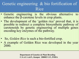 Crop bio fortification | PPTX