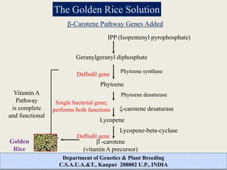 Crop bio fortification | PPTX