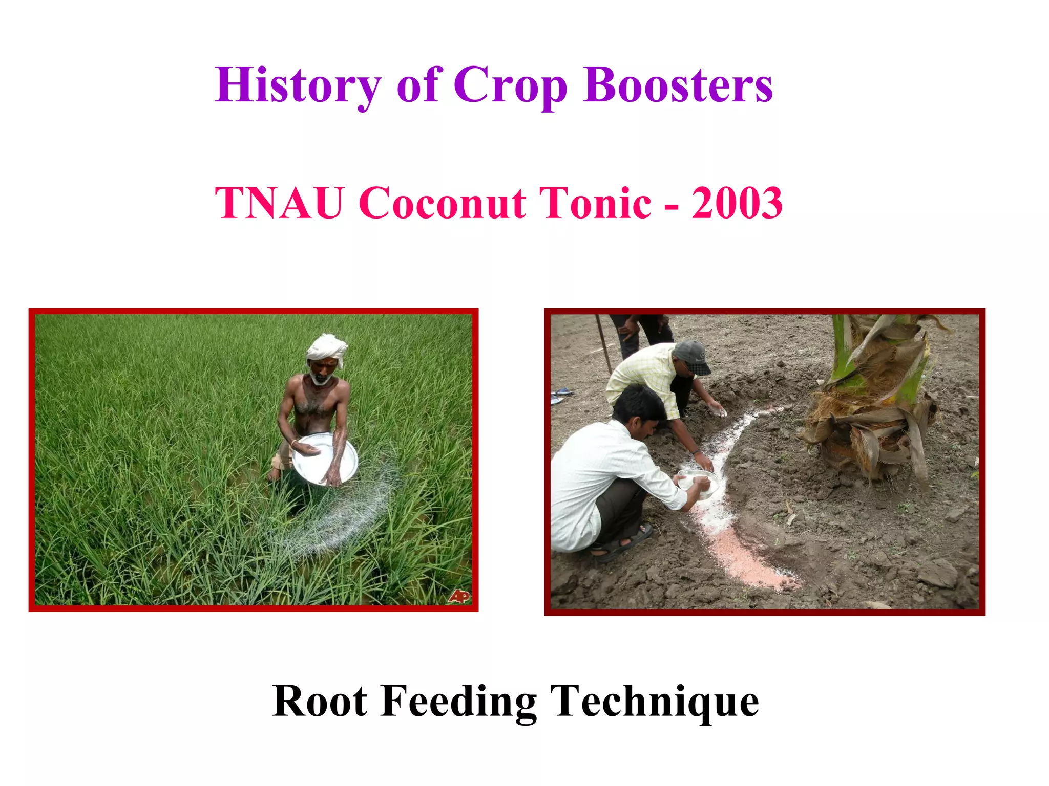 Crop boosters pajacoa- dr. p.b | PPT