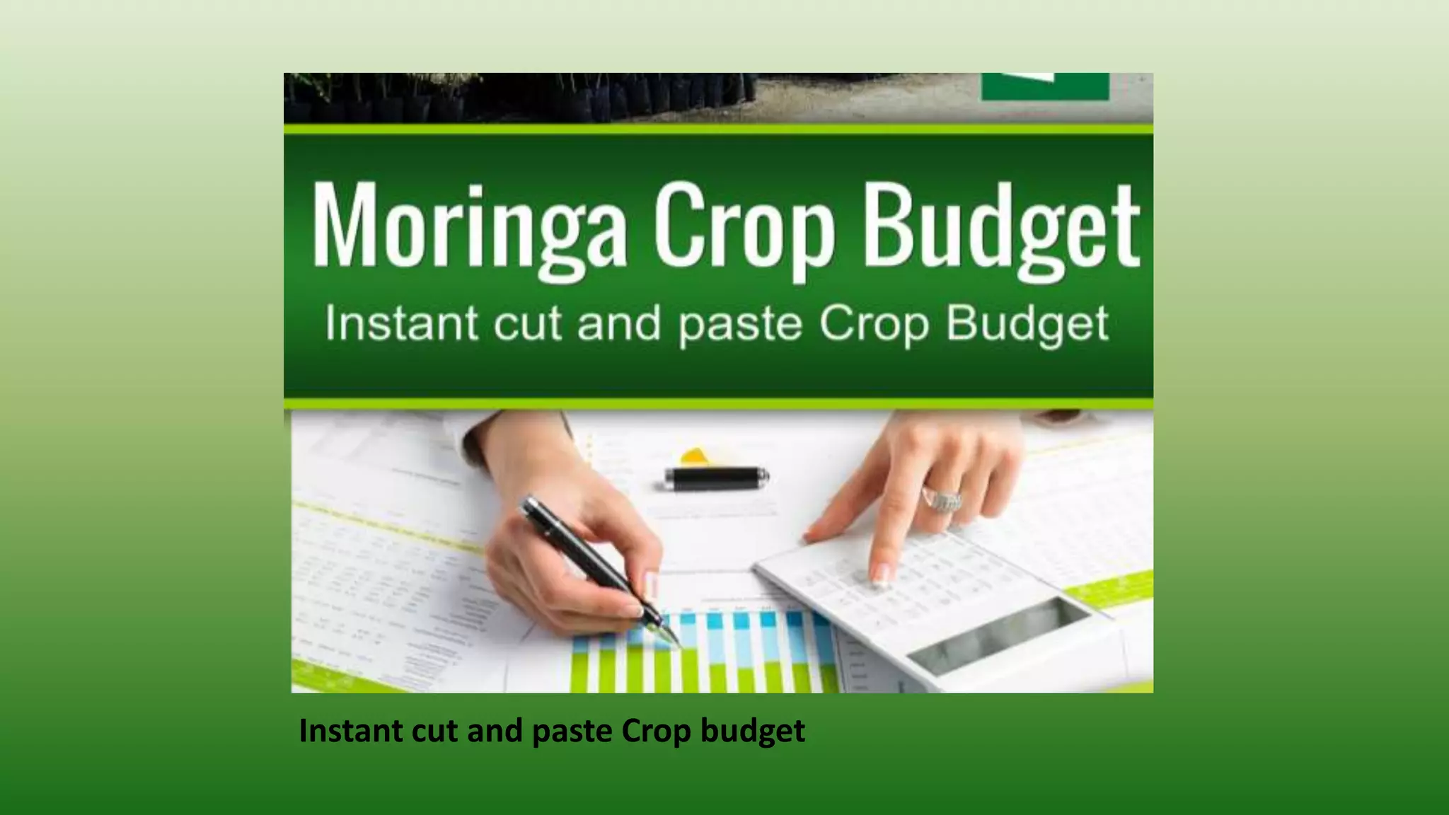 Moringa Crop Budget: An Introduction | PPT