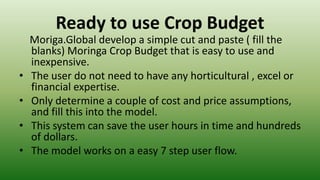 Moringa Crop Budget: An Introduction | PPT