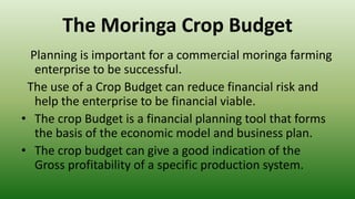 Moringa Crop Budget: An Introduction | PPT