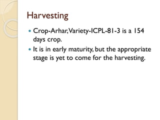 Crop calendar-Arhar | PDF