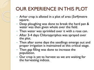 Crop calendar-Arhar | PDF