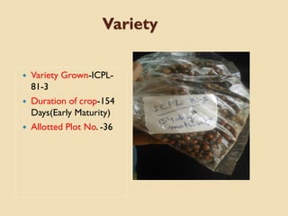 Crop calendar-Arhar | PDF