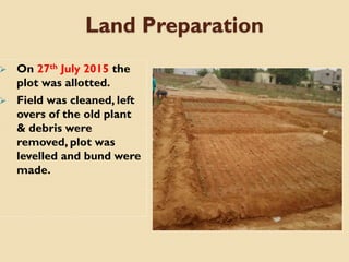 Crop calendar-Arhar | PDF