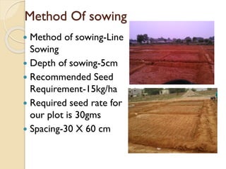 Crop calendar-Arhar | PDF