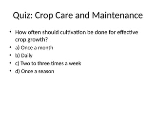 Crop_Care_Maintenance_Quiz.pptx crop and care | PPTX