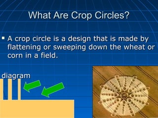 Crop circles | PPT