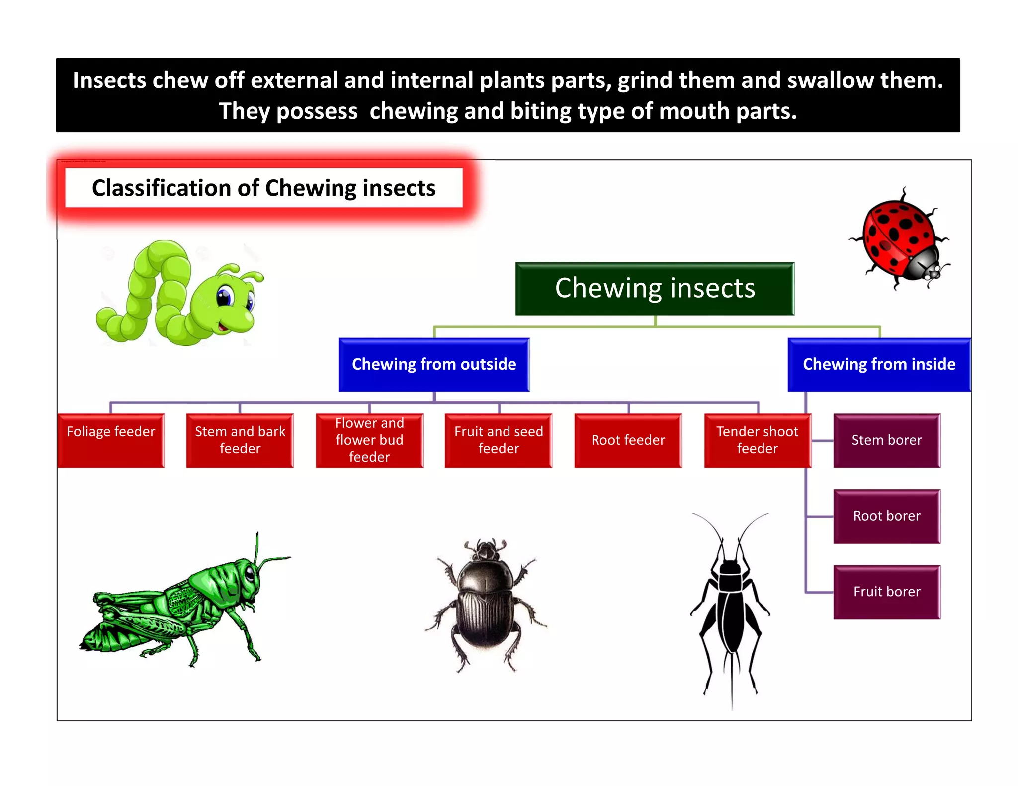 Crop damage by insects | PDF
