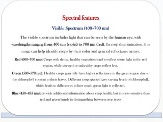 Crop Discrimination and Yield Monitoring in Precision Agriculture.pdf
