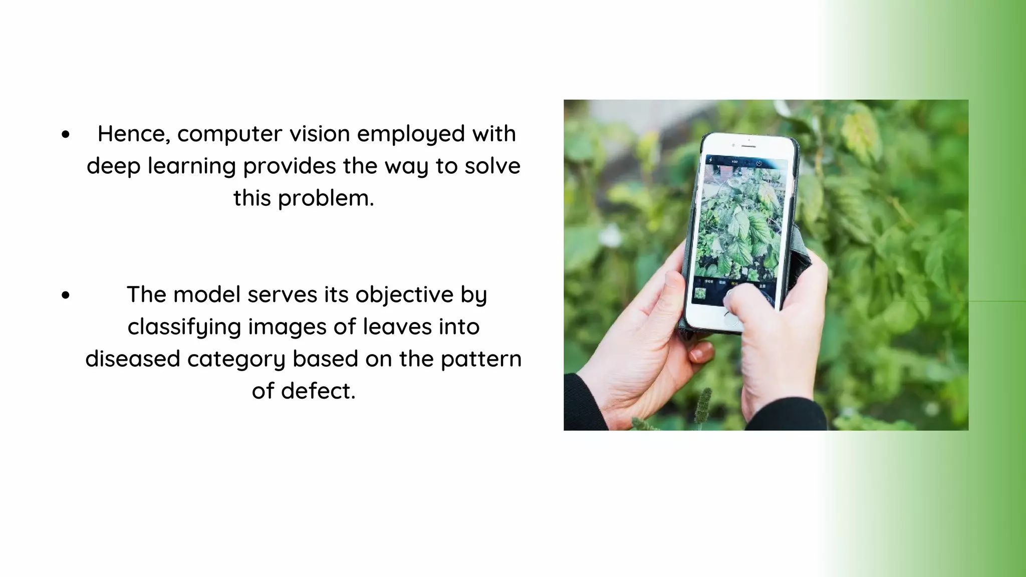 Crop Disease Detection System .pdf | Agriculture | Industries