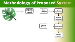 Crop Disease Detection System .pdf | Agriculture | Industries