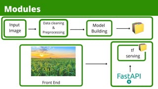 Crop Disease Detection System .pdf | Agriculture | Industries